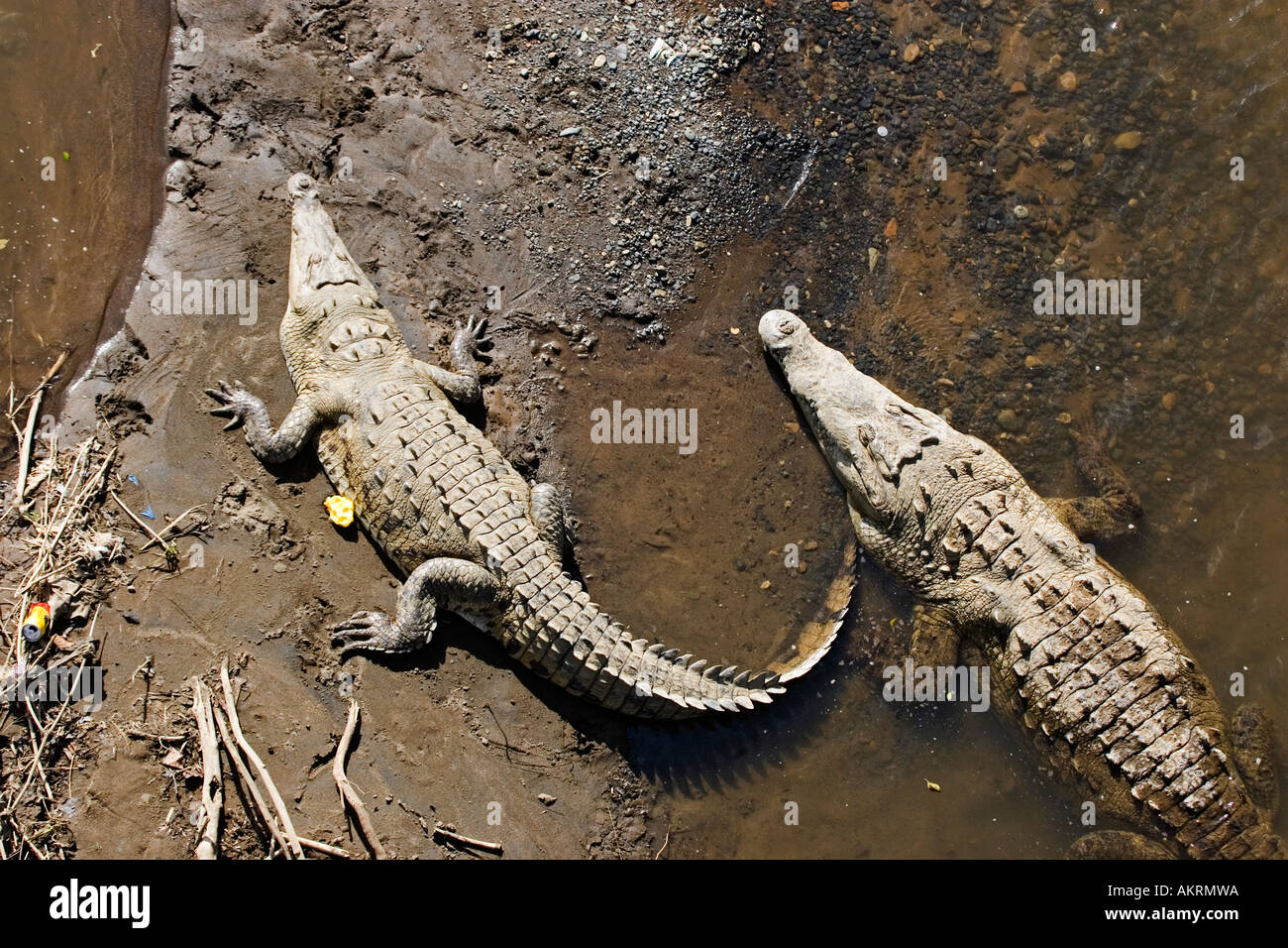 Tempisque river hi-res stock photography and images - Alamy