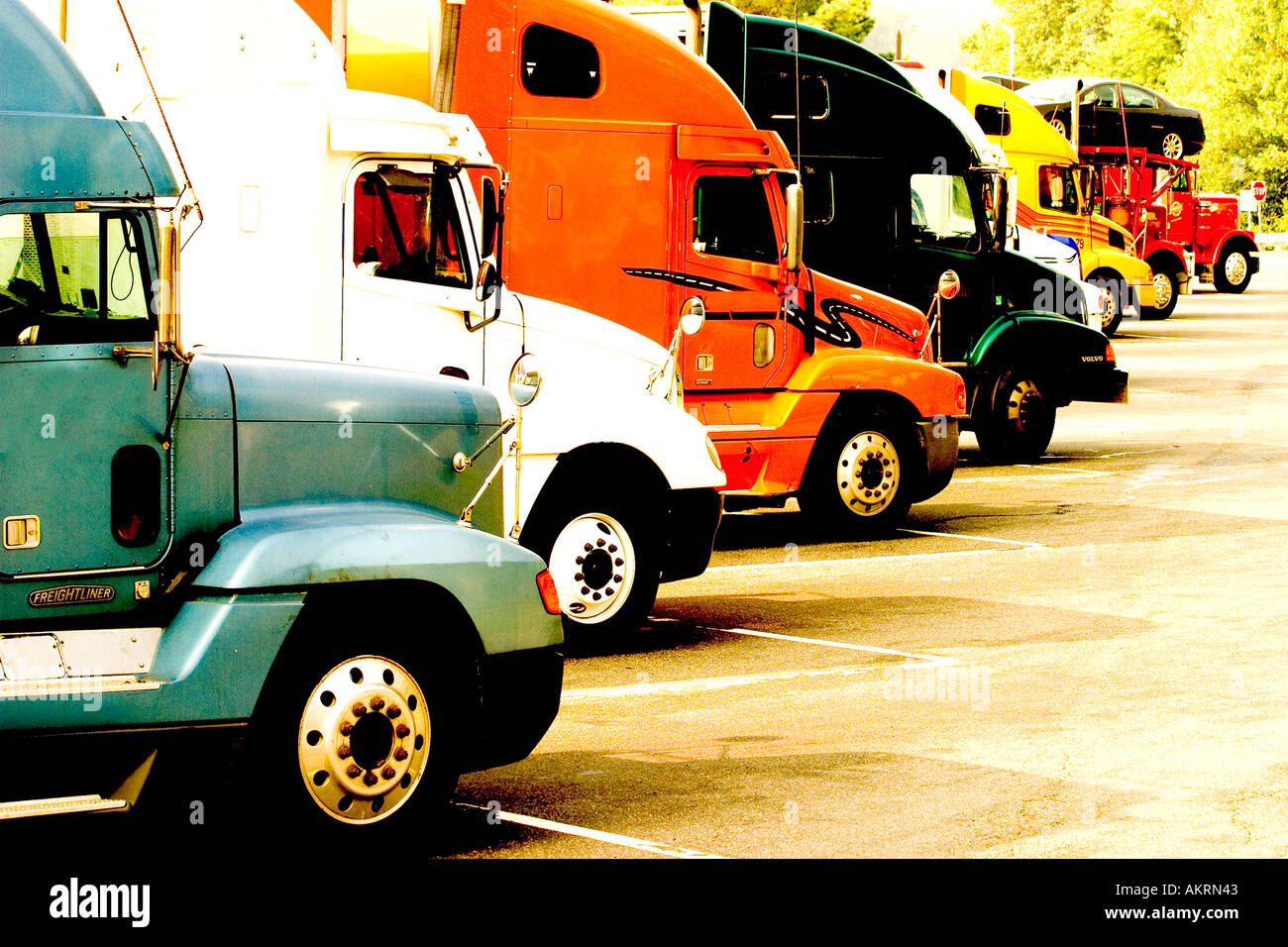 Six trucks or lorries of various colors parked in a line cross ...