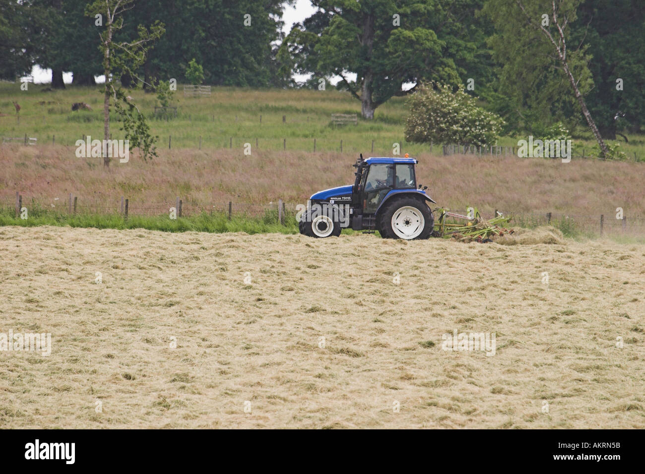 tractor ploughing a field Stock Photo - Alamy