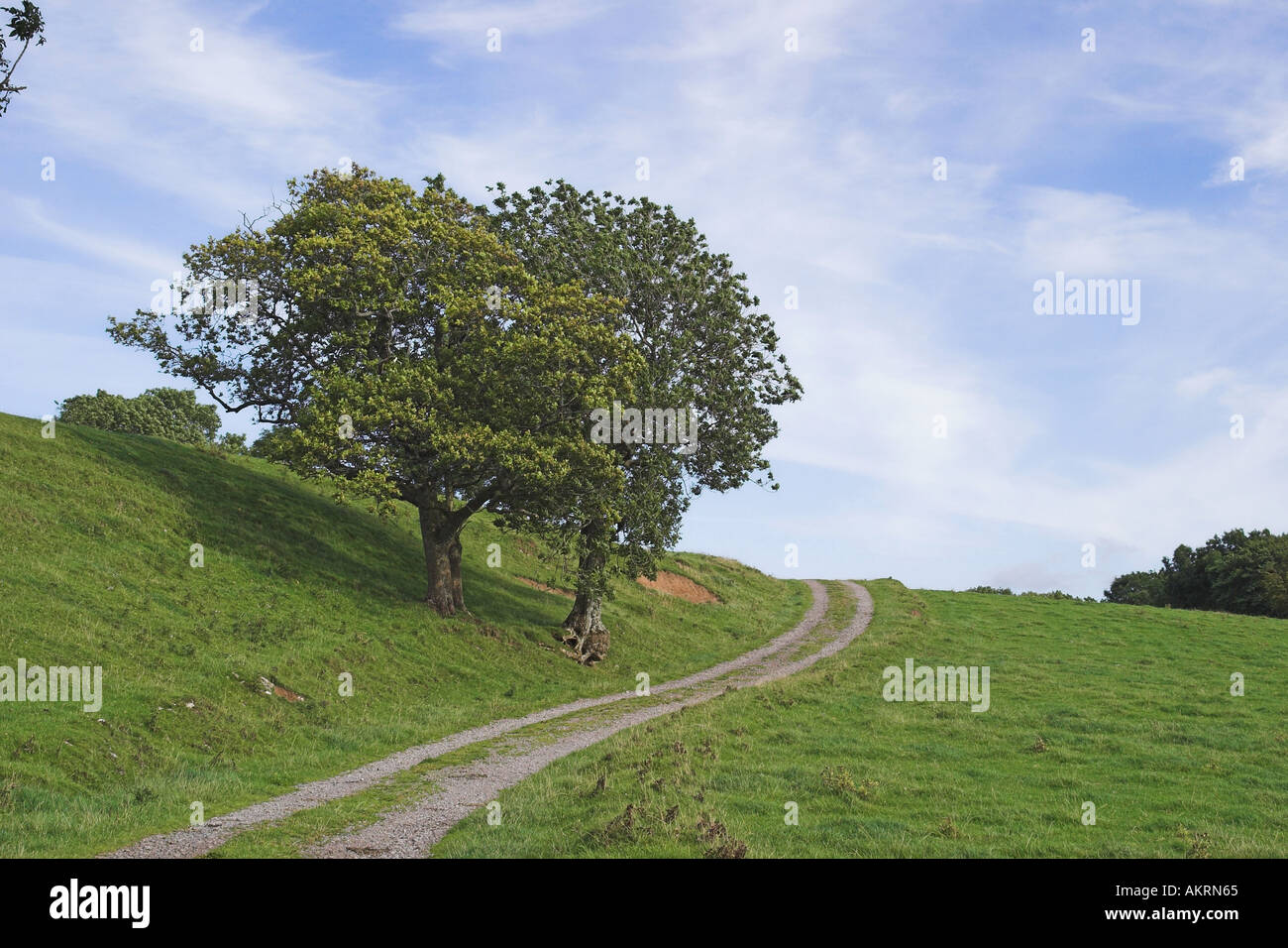 a road in the countryside in cumbria Stock Photo - Alamy