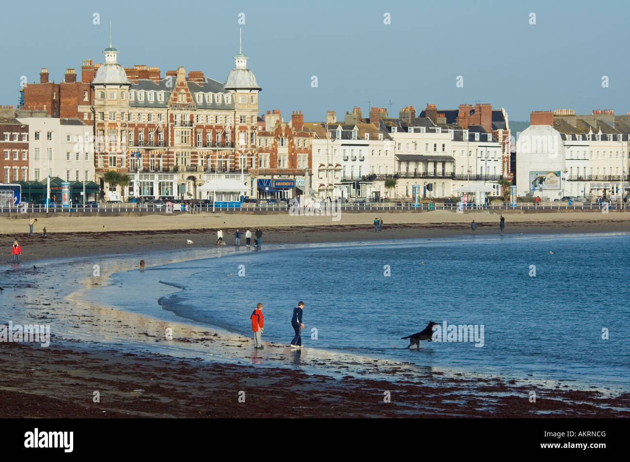 Weymouth Seafront Dorset England Stock Photo - Alamy