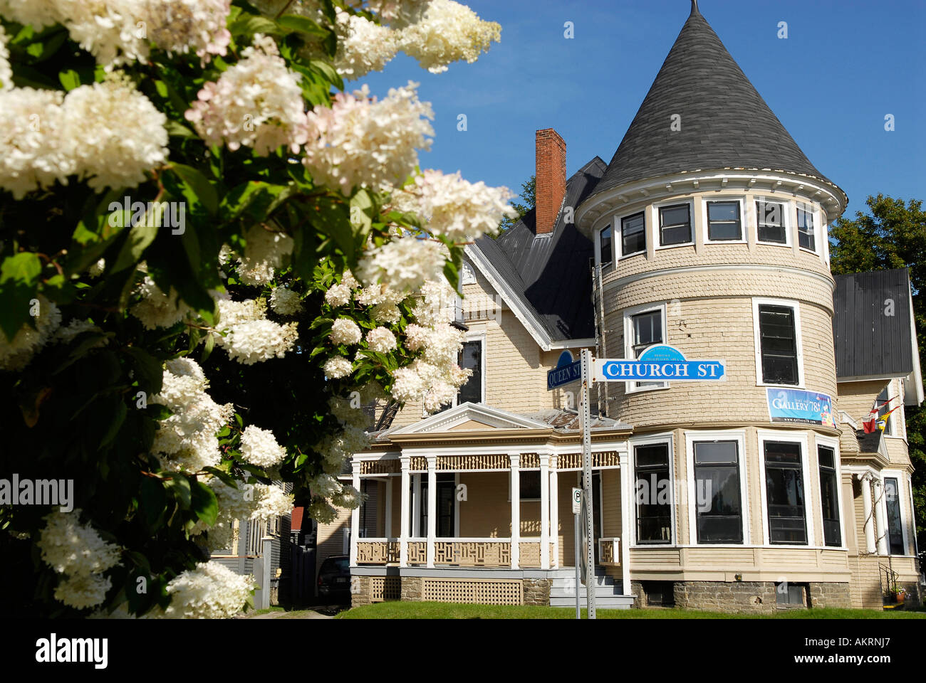 Stock image of a Victorian mansion framed by a snowball bush Stock ...