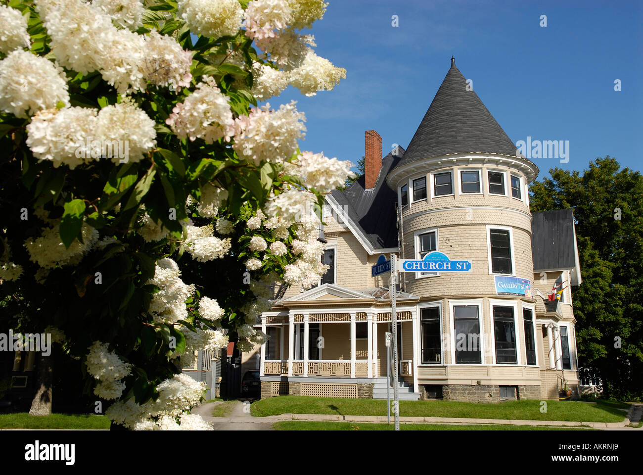 Stock image of a Victorian mansion framed by a snowball bush Stock ...