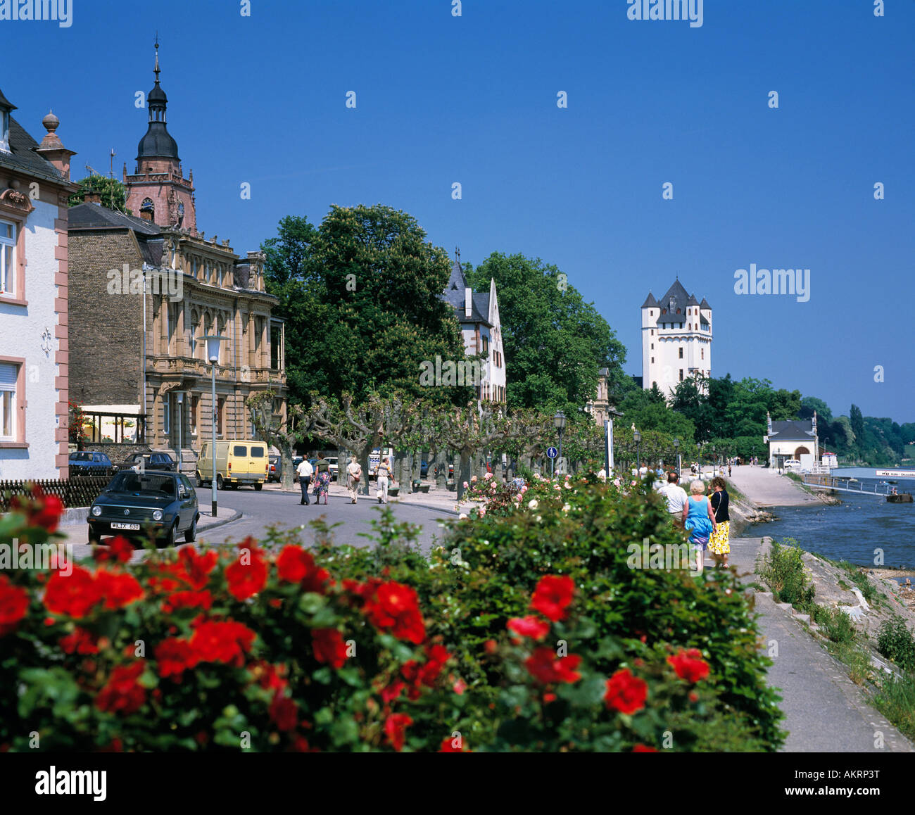 Rheinuferpromenade, Pfarrkirche, Kurfuerstliche Burg, Eltville, Rhein ...
