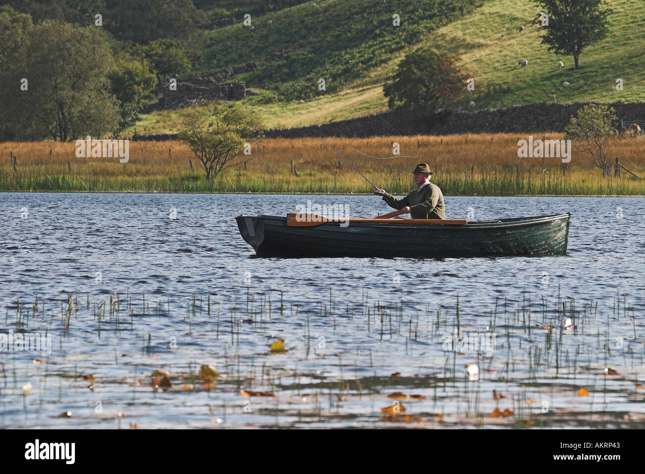 man fly fishing on a tarn in the lake district Stock Photo - Alamy