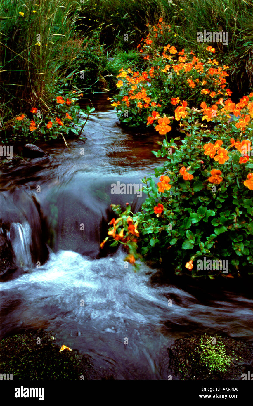 Walkerburn in the scottish borders hi-res stock photography and images ...