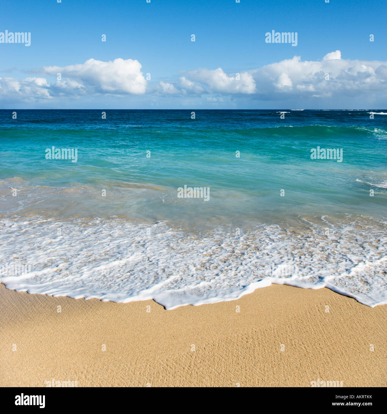 Beach landscape on Maui Hawaii Stock Photo - Alamy