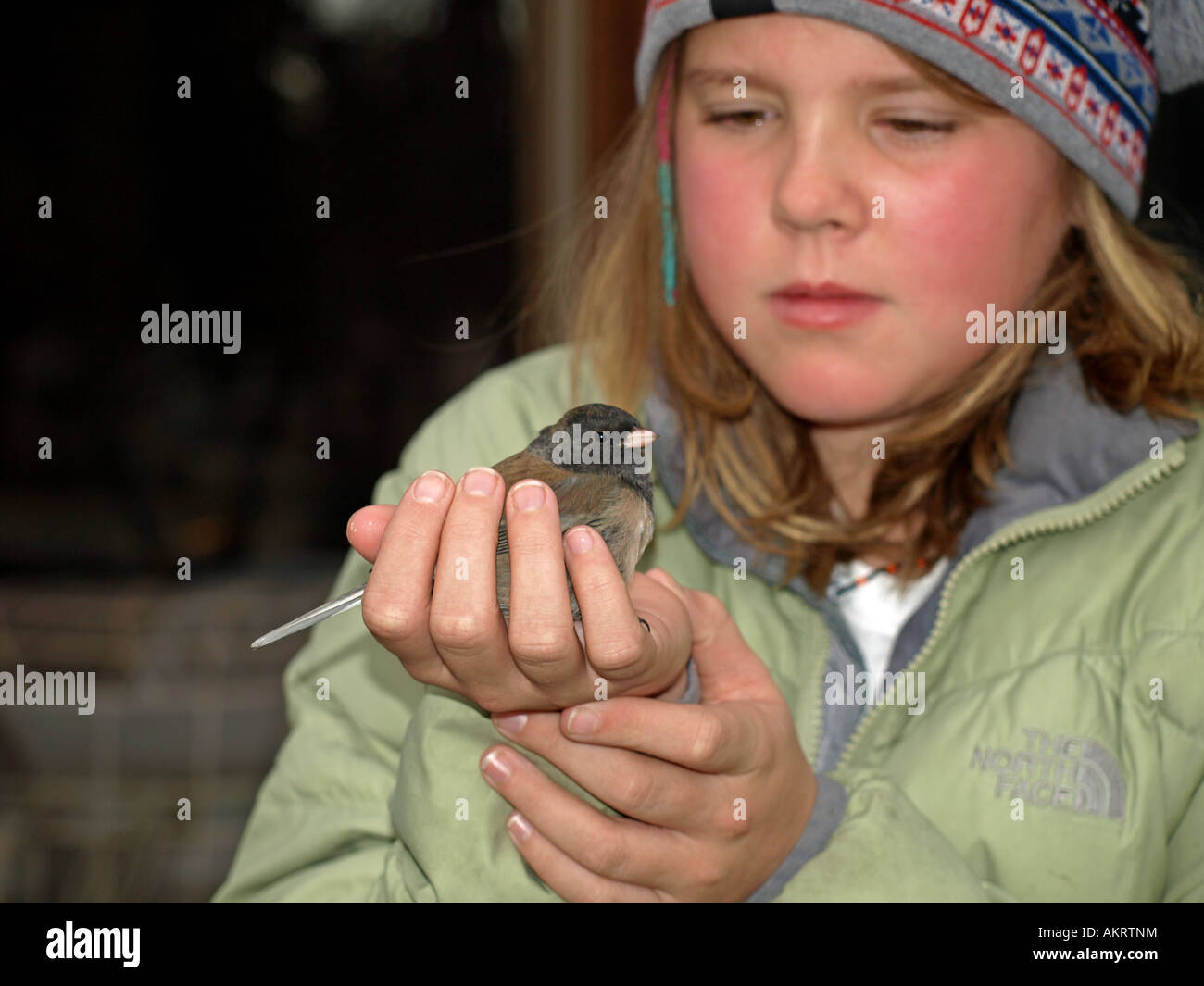 Giving the bird hi-res stock photography and images - Alamy