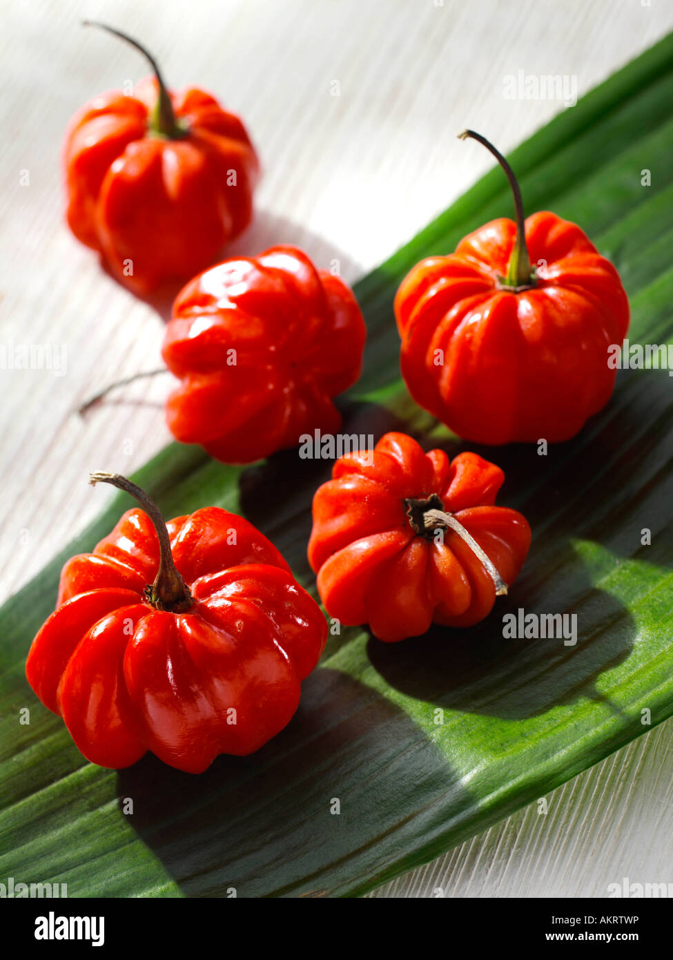 Scotch bonnet peppers ingredients editorial food Stock Photo - Alamy