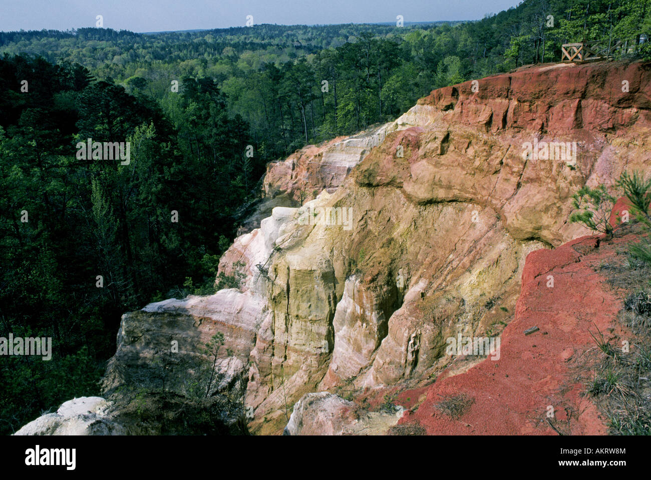 A red earth ridge and deep valley in Providence Canyon State Park ...