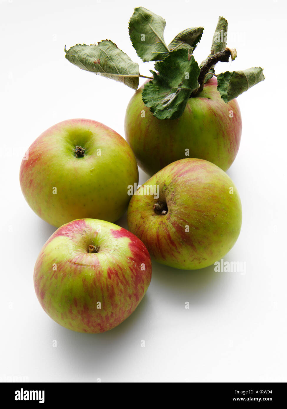 Bramley Apples on a white background Stock Photo - Alamy