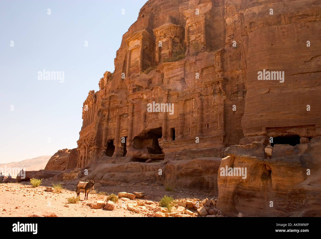 A lone donkey waits at below the remains of an old Nabataean royal tomb ...