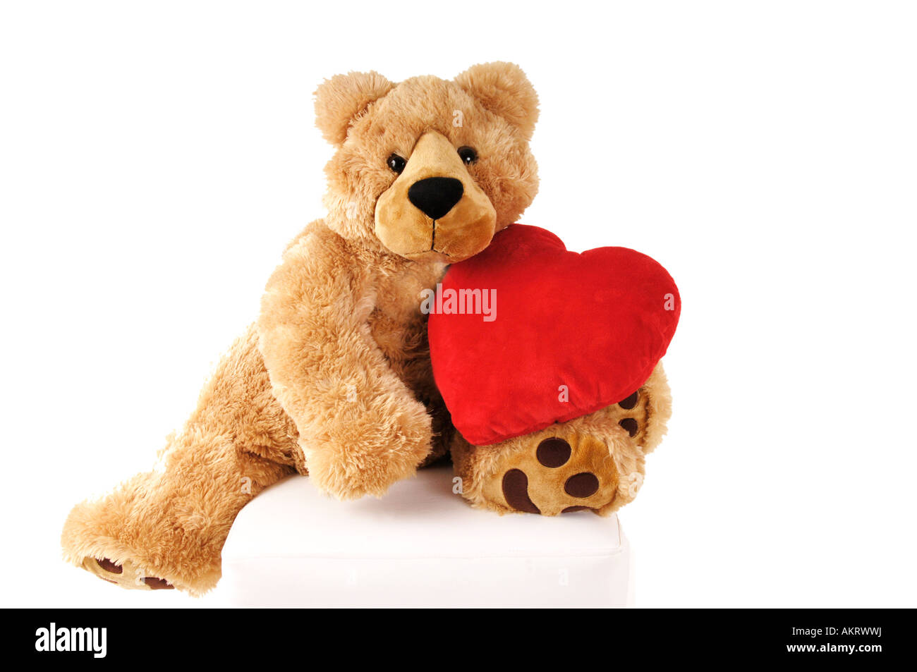 Reddy bear hi-res stock photography and images - Alamy