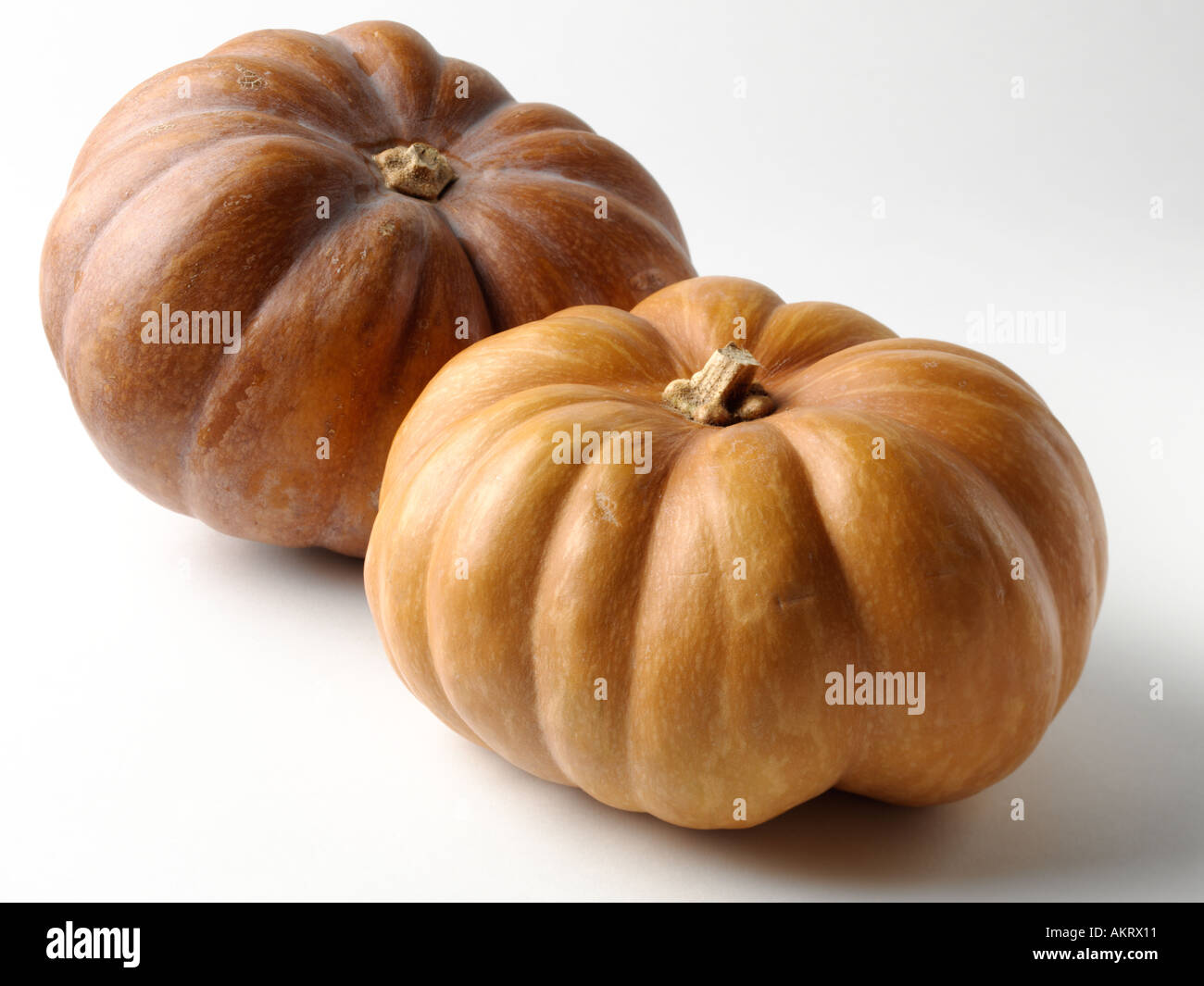 Whole pumpkins and squashes hi-res stock photography and images - Alamy