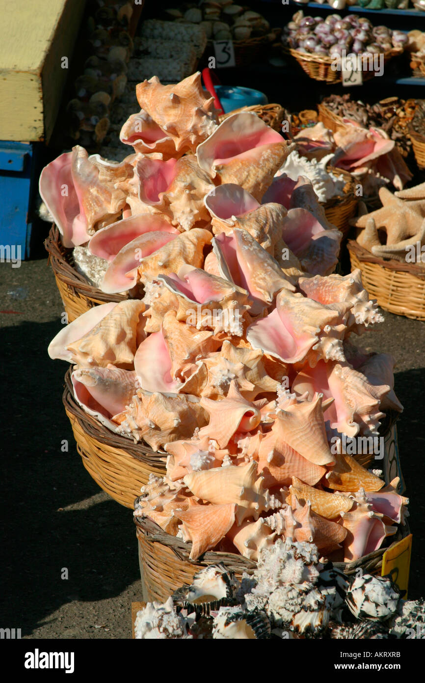 Sea shells sale greece hi-res stock photography and images - Alamy