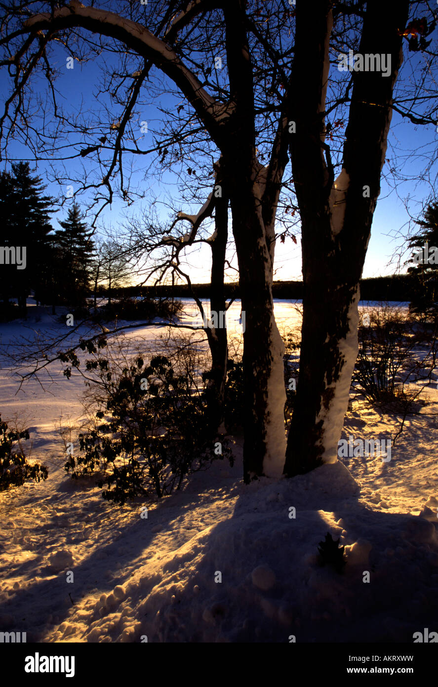 A frozen landscape Stock Photo - Alamy