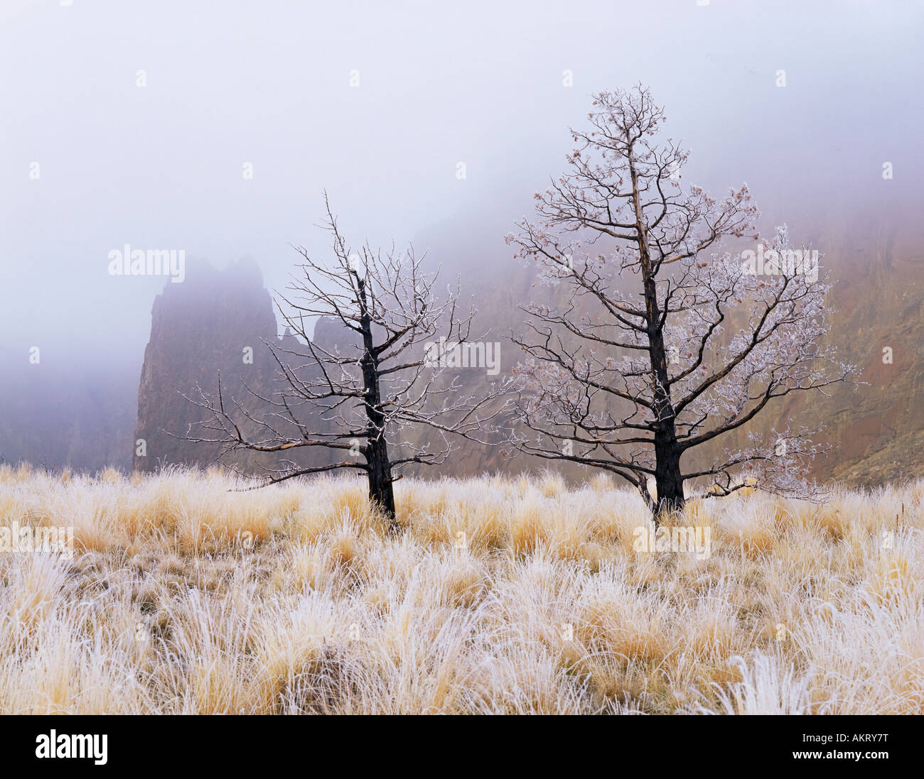 Mid winter in Smith Rock State Park Stock Photo - Alamy