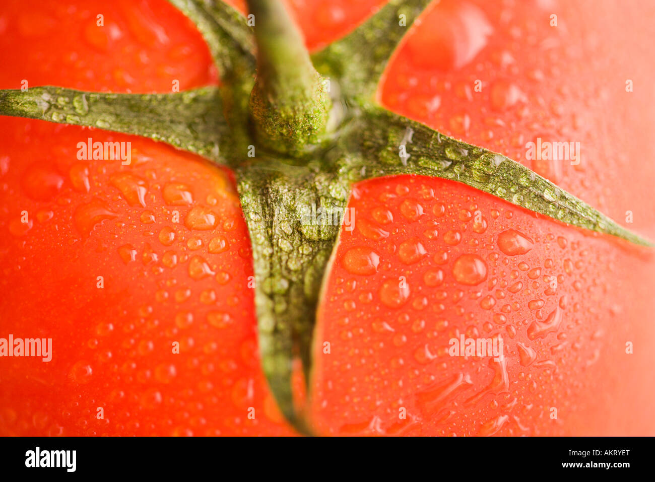 Close up of wet red ripe tomato Stock Photo - Alamy