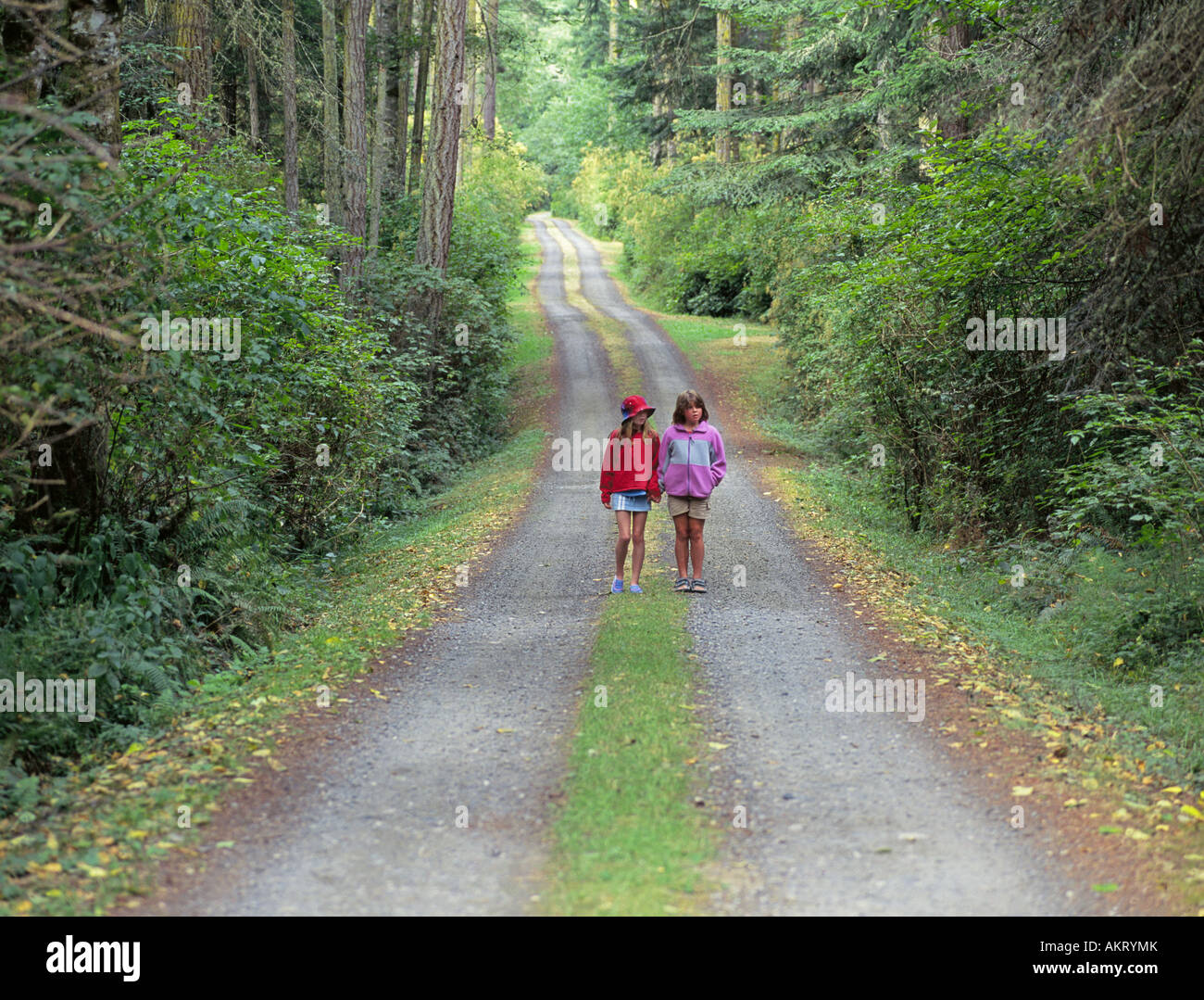 Two young girls wander down a long country road through a dense forest ...