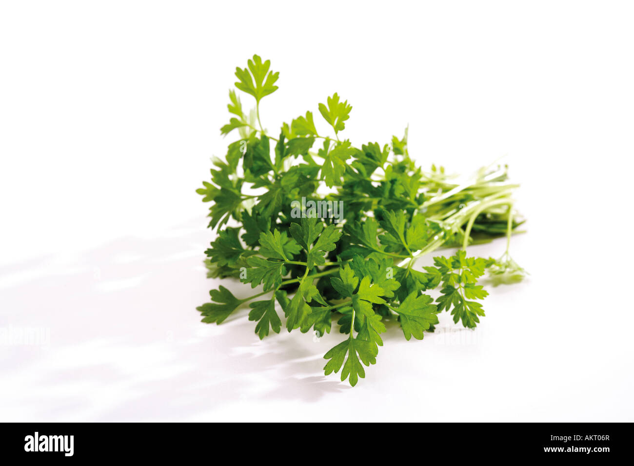 Chervil herb hi-res stock photography and images - Alamy