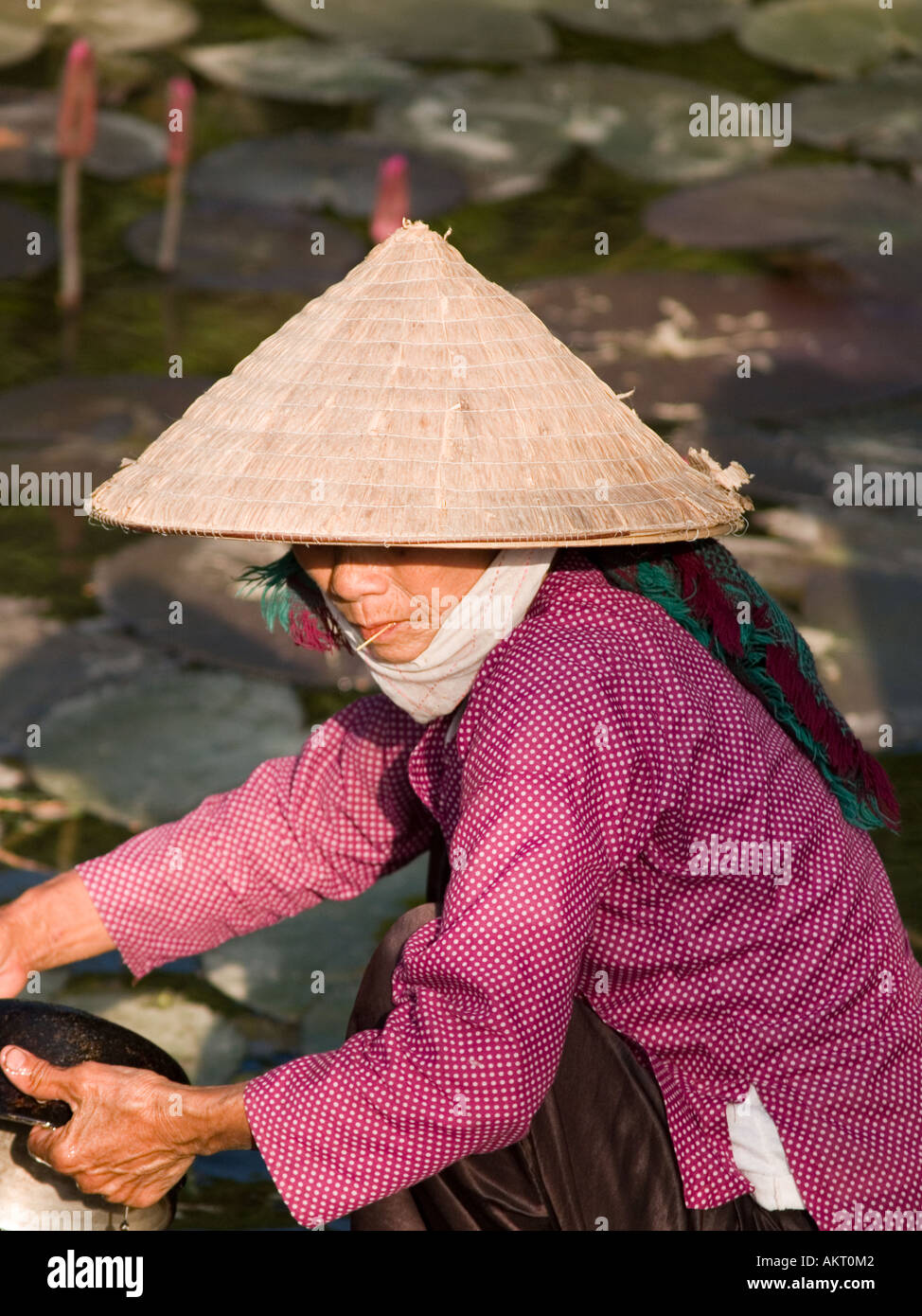 Toothpicks working hi-res stock photography and images - Alamy