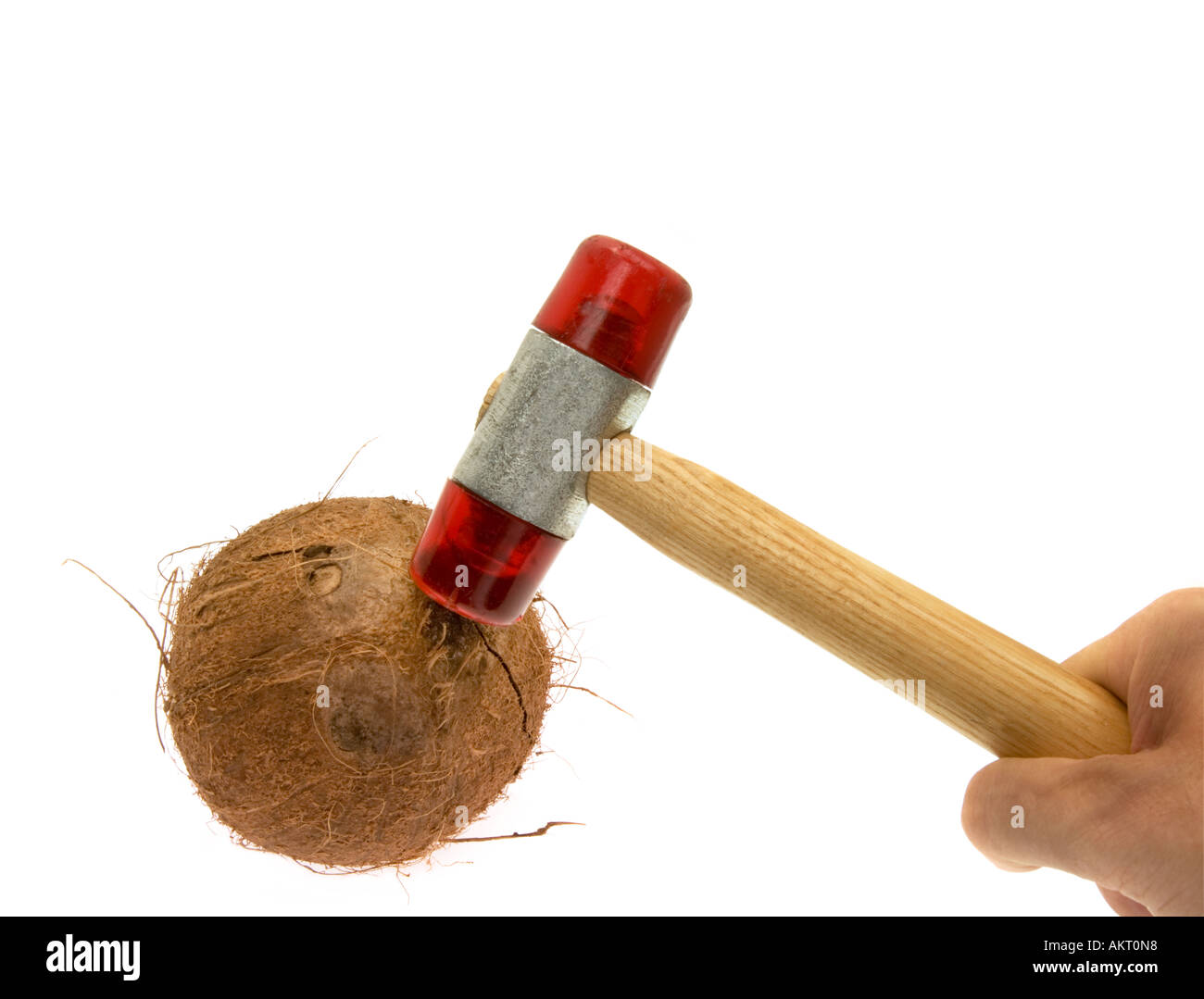 to open a coconut with a hammer hit Stock Photo - Alamy