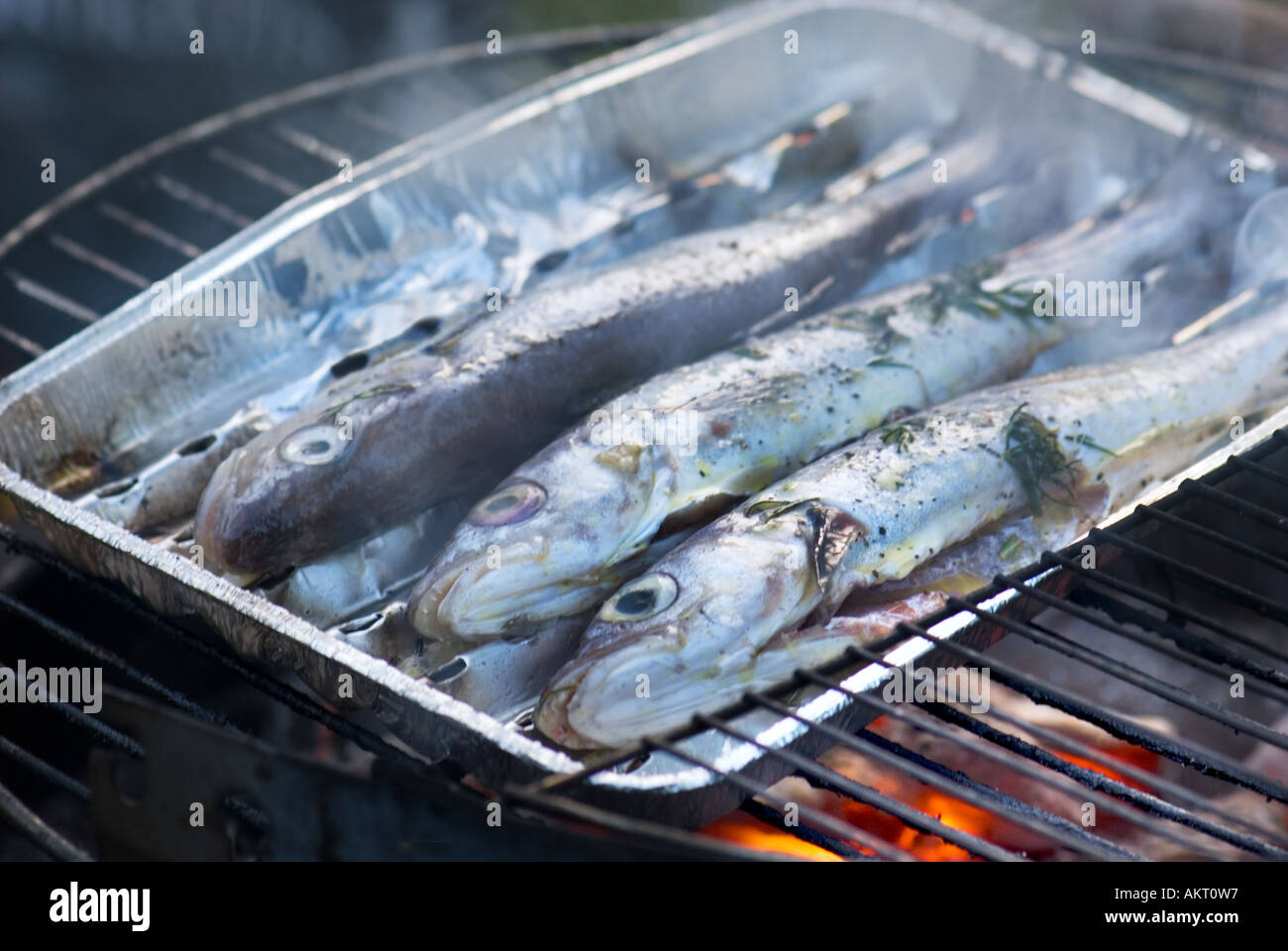Smoked fish and aluminium foil hi-res stock photography and images - Alamy