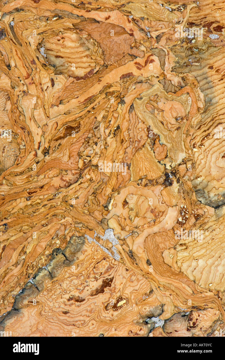 cork kork plate pattern structure Stock Photo - Alamy