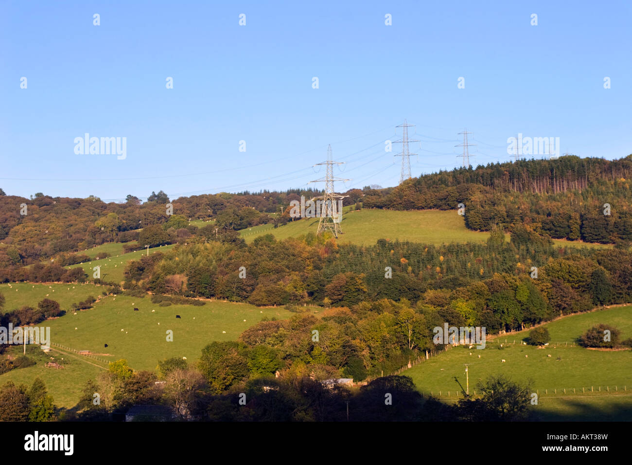Electricity pylons uk sheep hi-res stock photography and images - Alamy