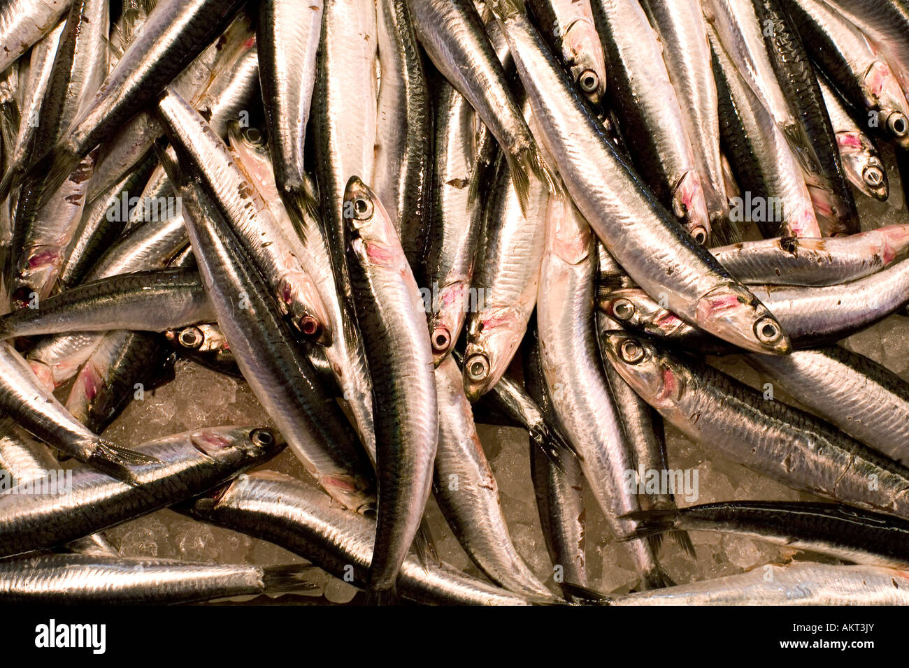 fish species alici on display at venice fishmarket Stock Photo - Alamy