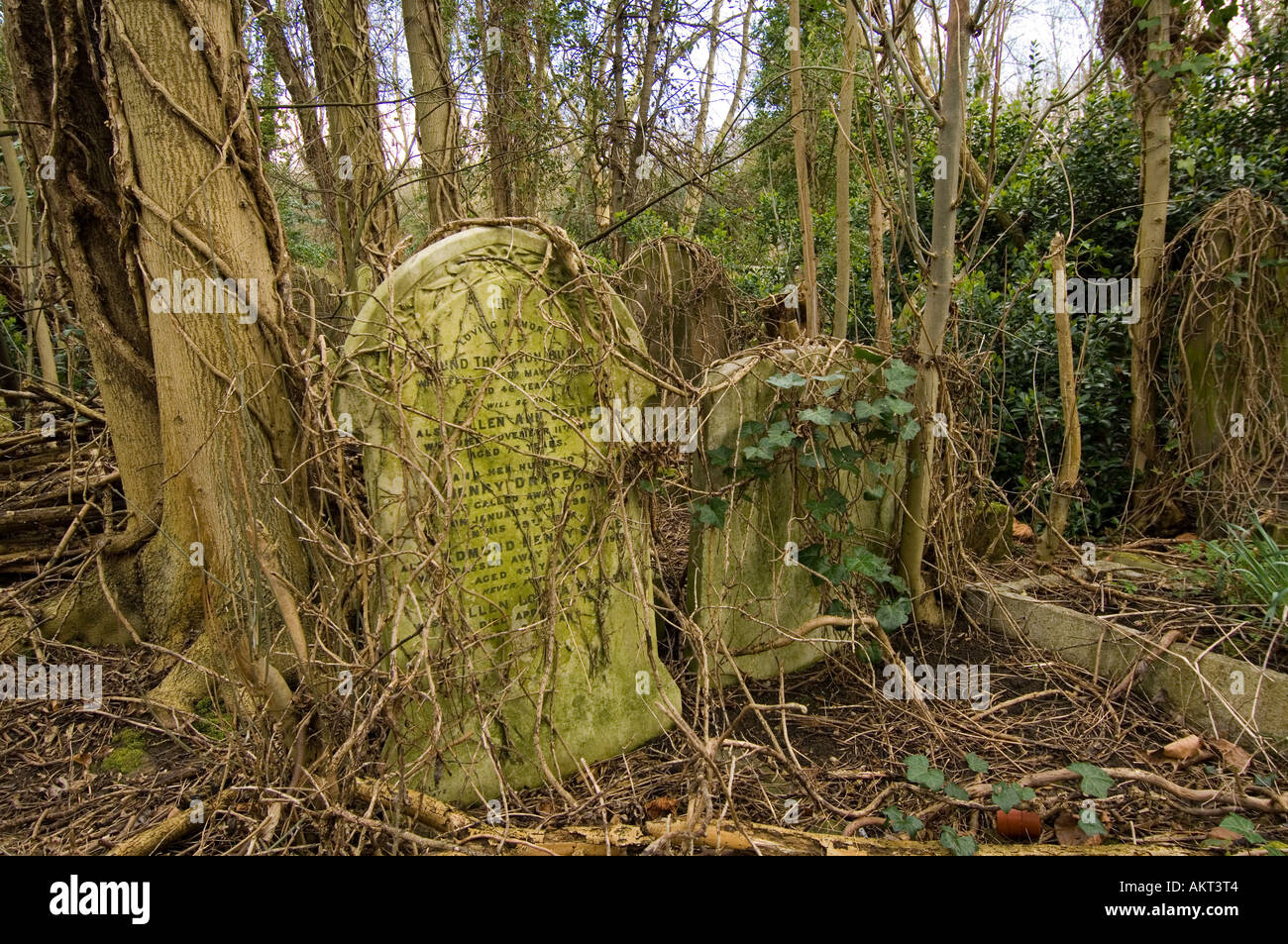 Highgate cemetery london ghost hi-res stock photography and images - Alamy