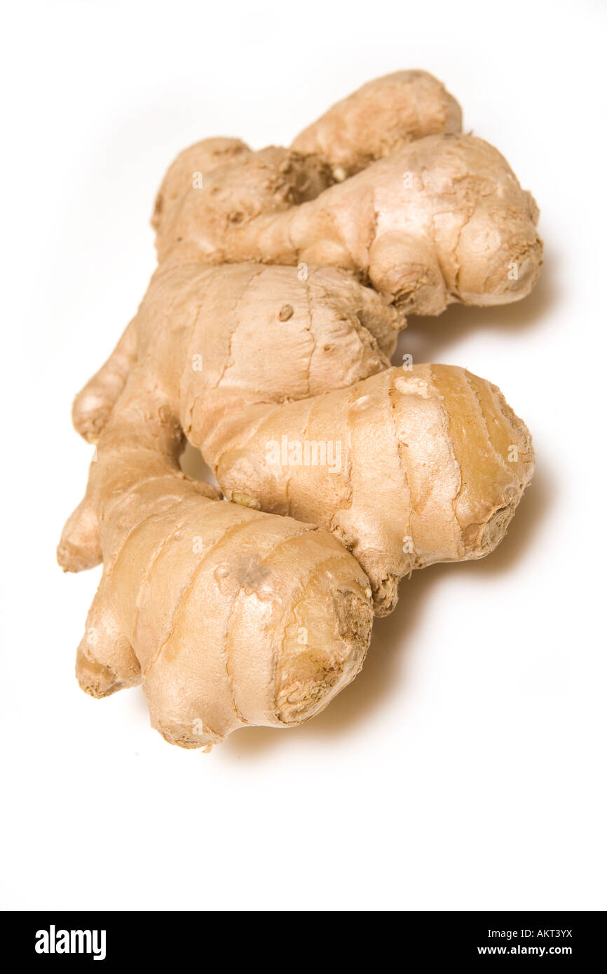Ginger bulb isolated on a white studio background Stock Photo - Alamy