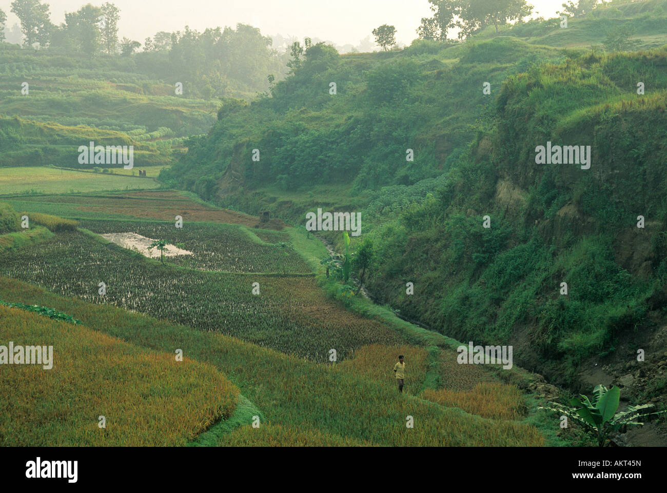 Indonesia, Java, Sangiran, Homo Erectus Site Stock Photo - Alamy