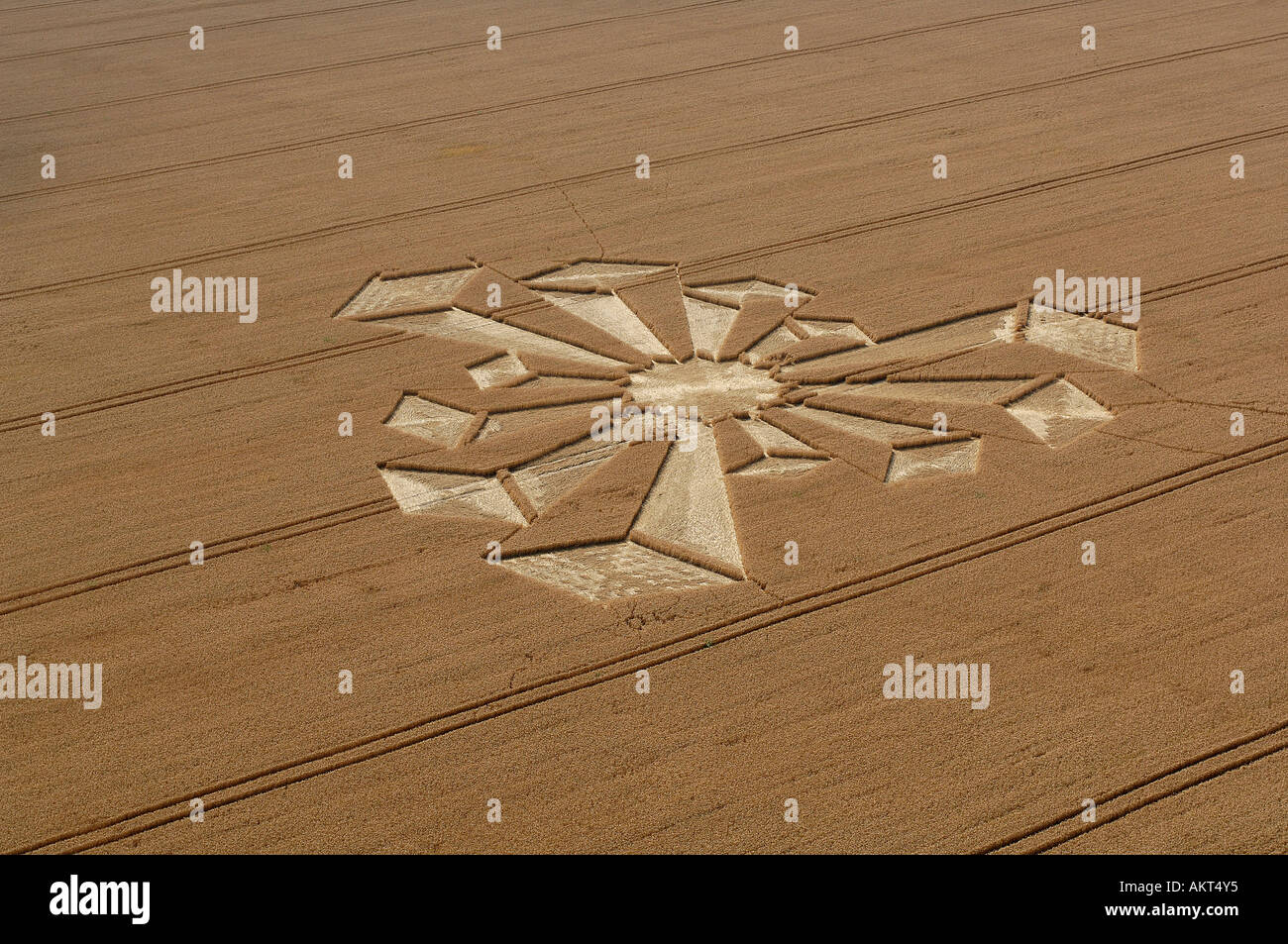 The alien corn hi-res stock photography and images - Alamy