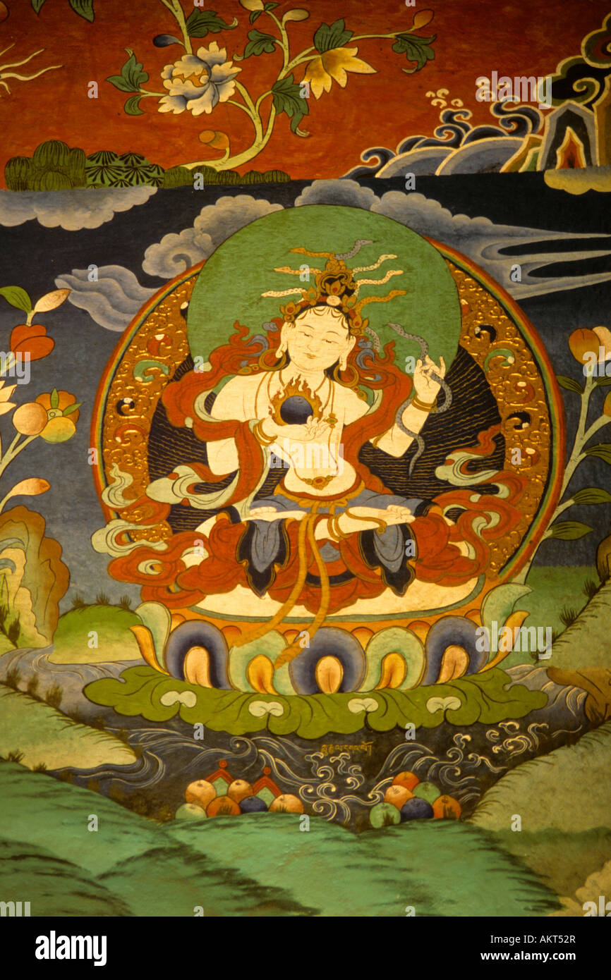 Nepal Kathmandu Valley Bodhnath Shechen Tennyi Targye Ling monastery ...