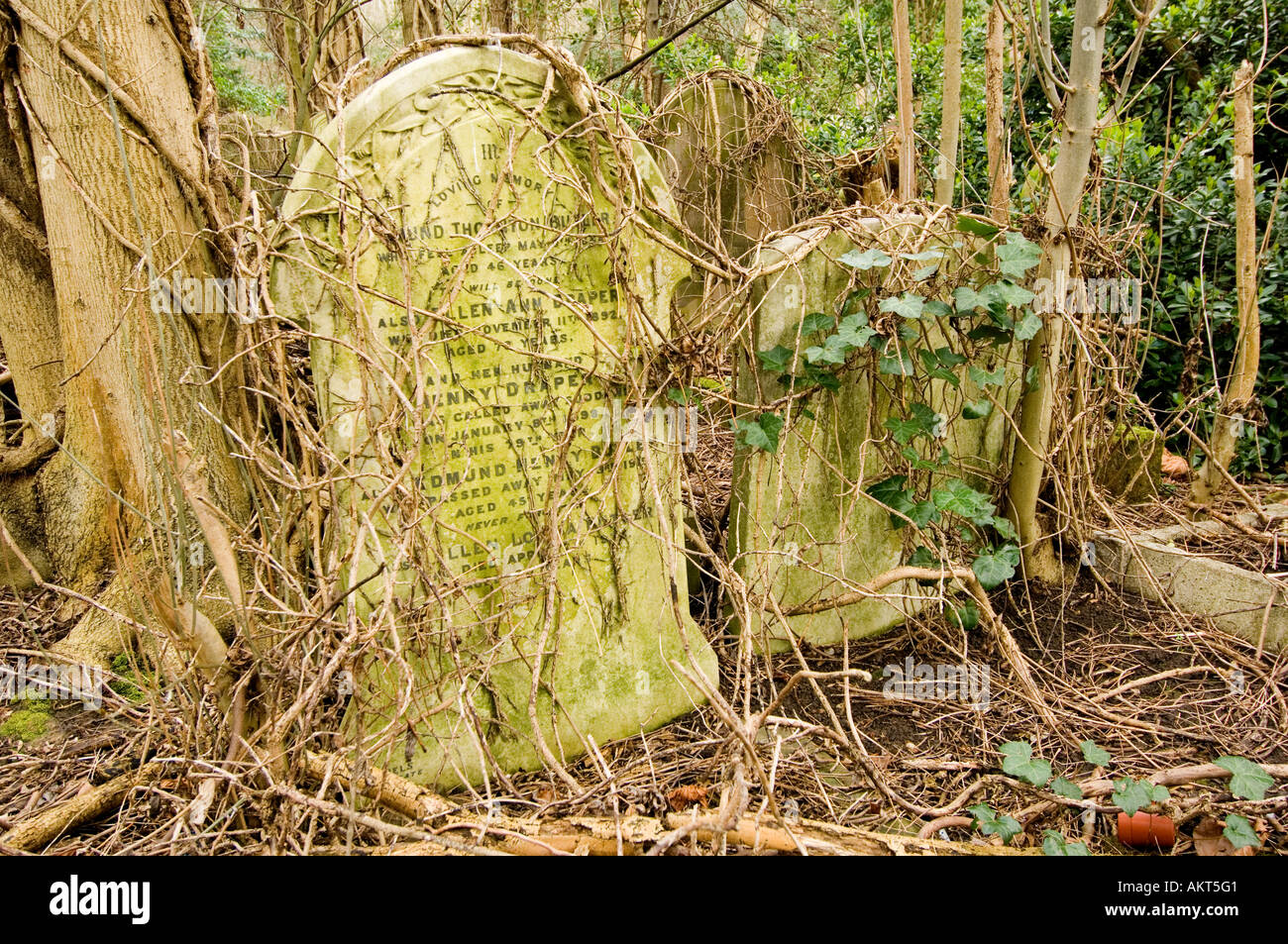 Highgate cemetery london ghost hi-res stock photography and images - Alamy