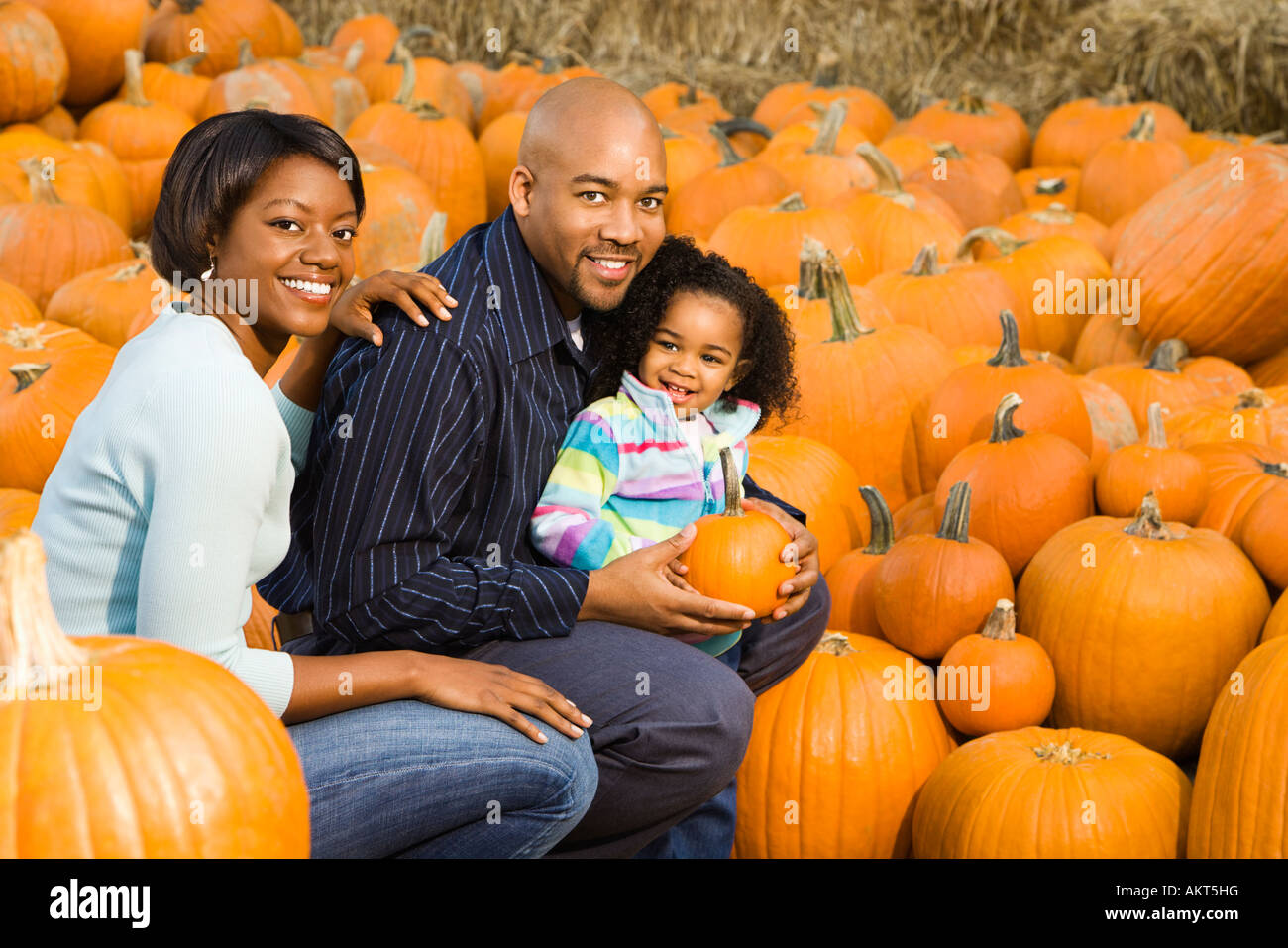 Picking out pumpkins hi-res stock photography and images - Alamy