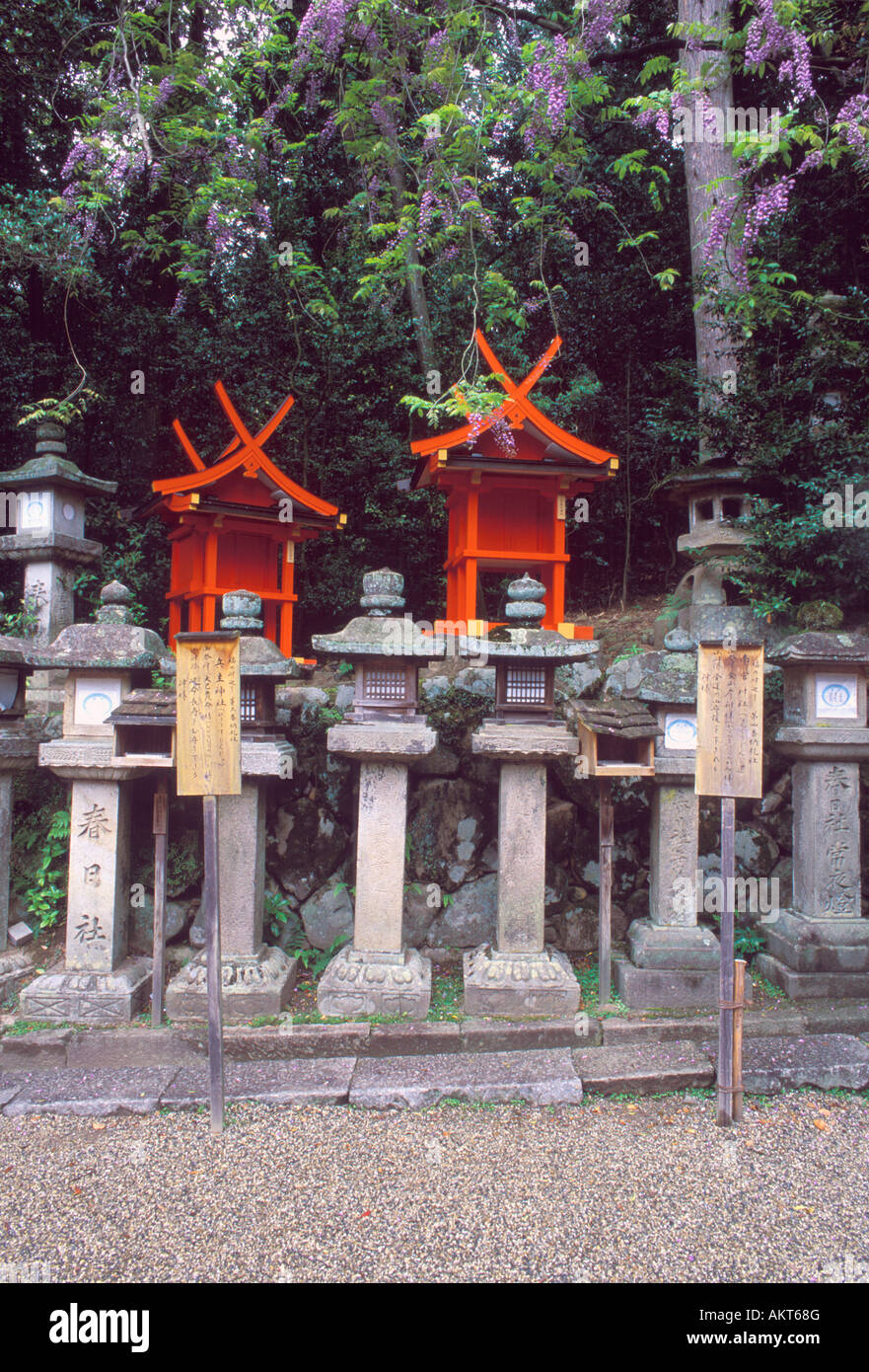 Kasuga Shrine, Nara, Japan Stock Photo - Alamy