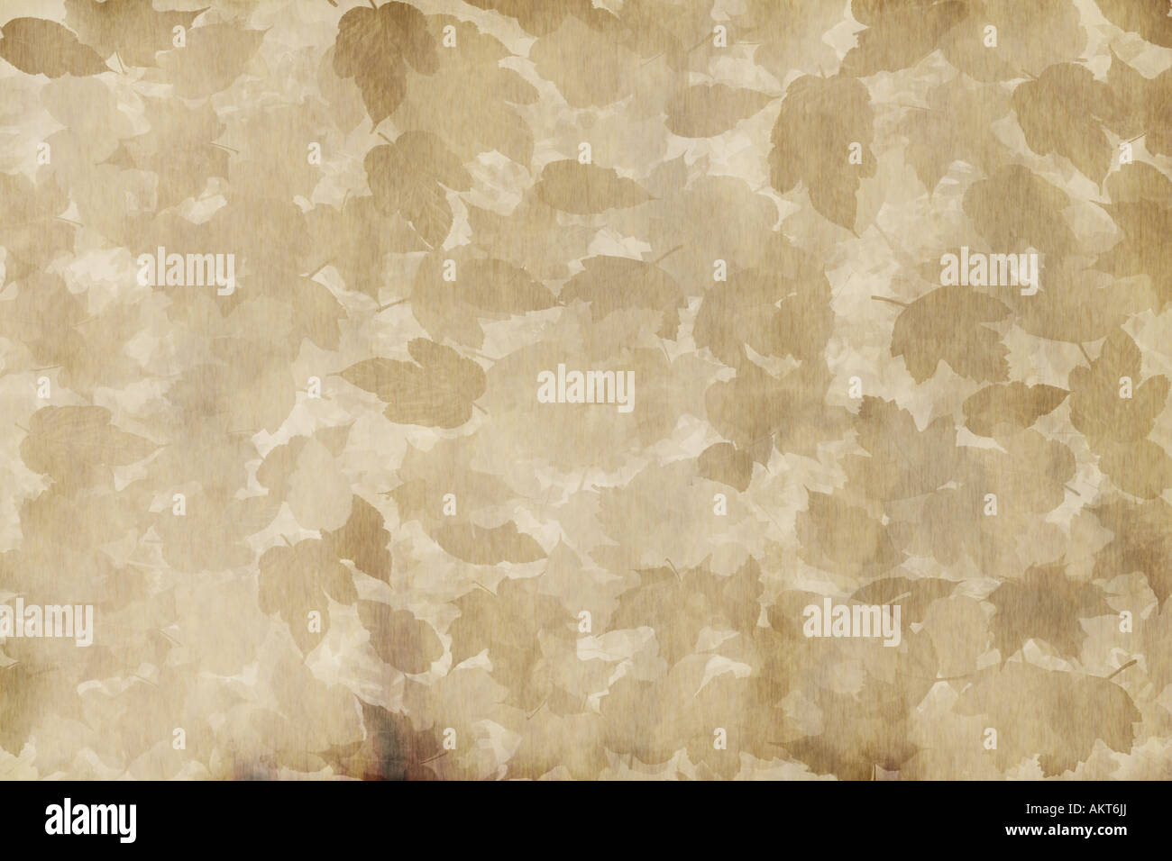 large background of old worn parchment with leafy pattern Stock Photo ...