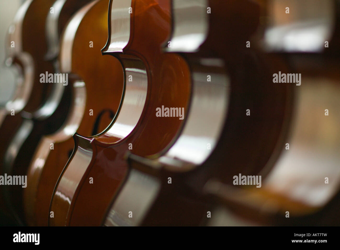 Cellos on Display Stock Photo - Alamy