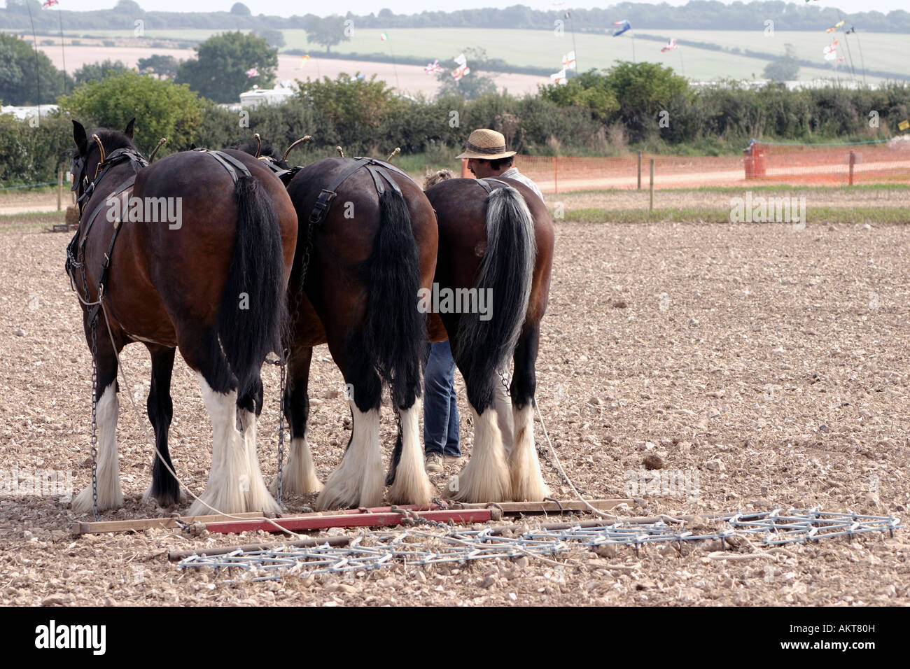 Traditional harrowing hi-res stock photography and images - Alamy