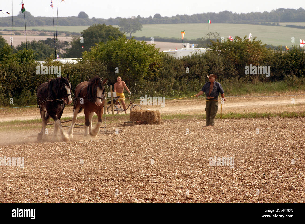 Handler driving harrow with a pair of shire horses at Great Dorset ...