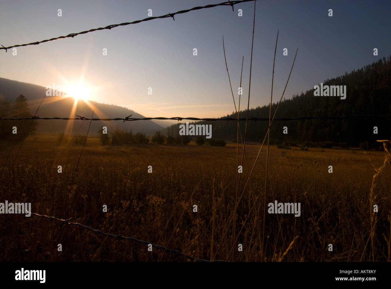Morning star ranch hi-res stock photography and images - Alamy