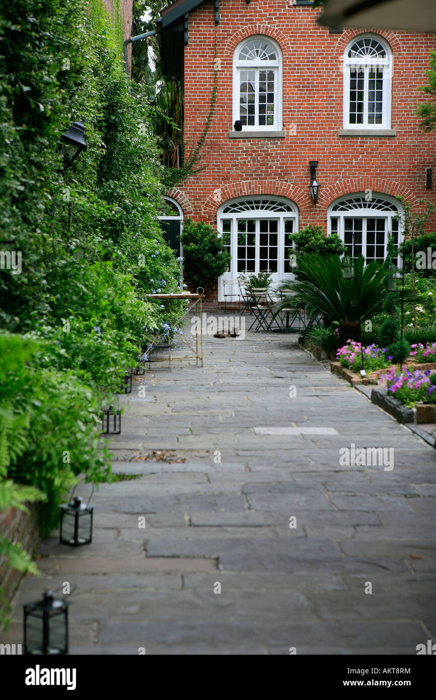 Domestic cat lying down in garden alley way Stock Photo - Alamy