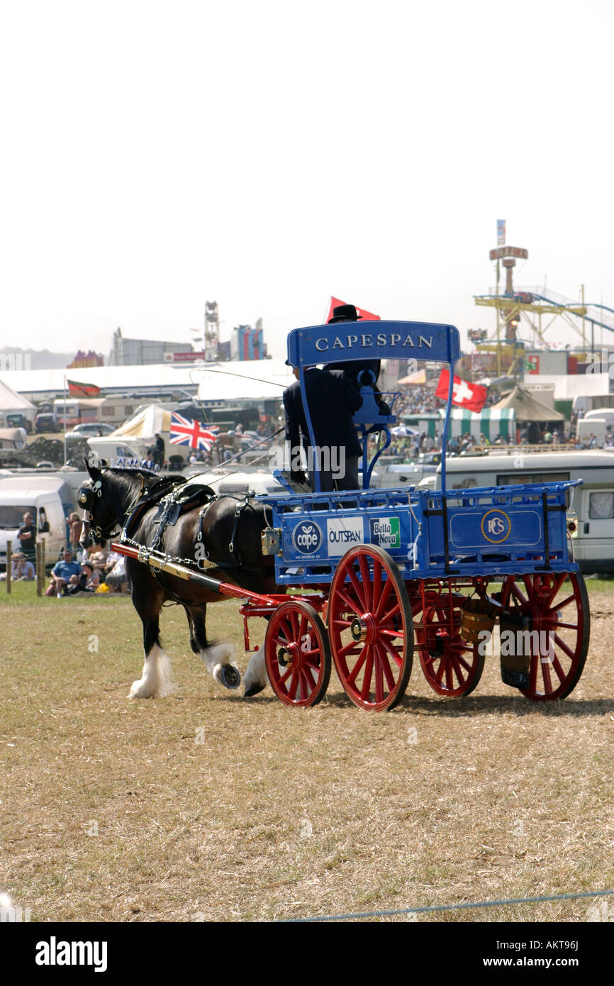 Shire horse with driver pulling dray at Great Dorset Steam Rally 2005 ...