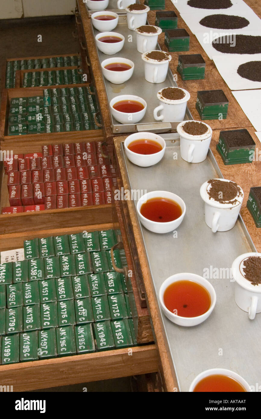 Ceylon tea trails hi-res stock photography and images - Alamy