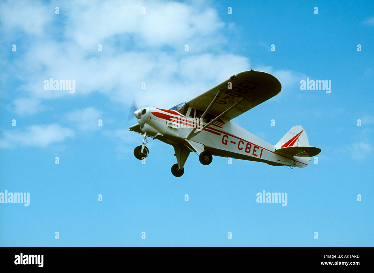 Piper colt hi-res stock photography and images - Alamy
