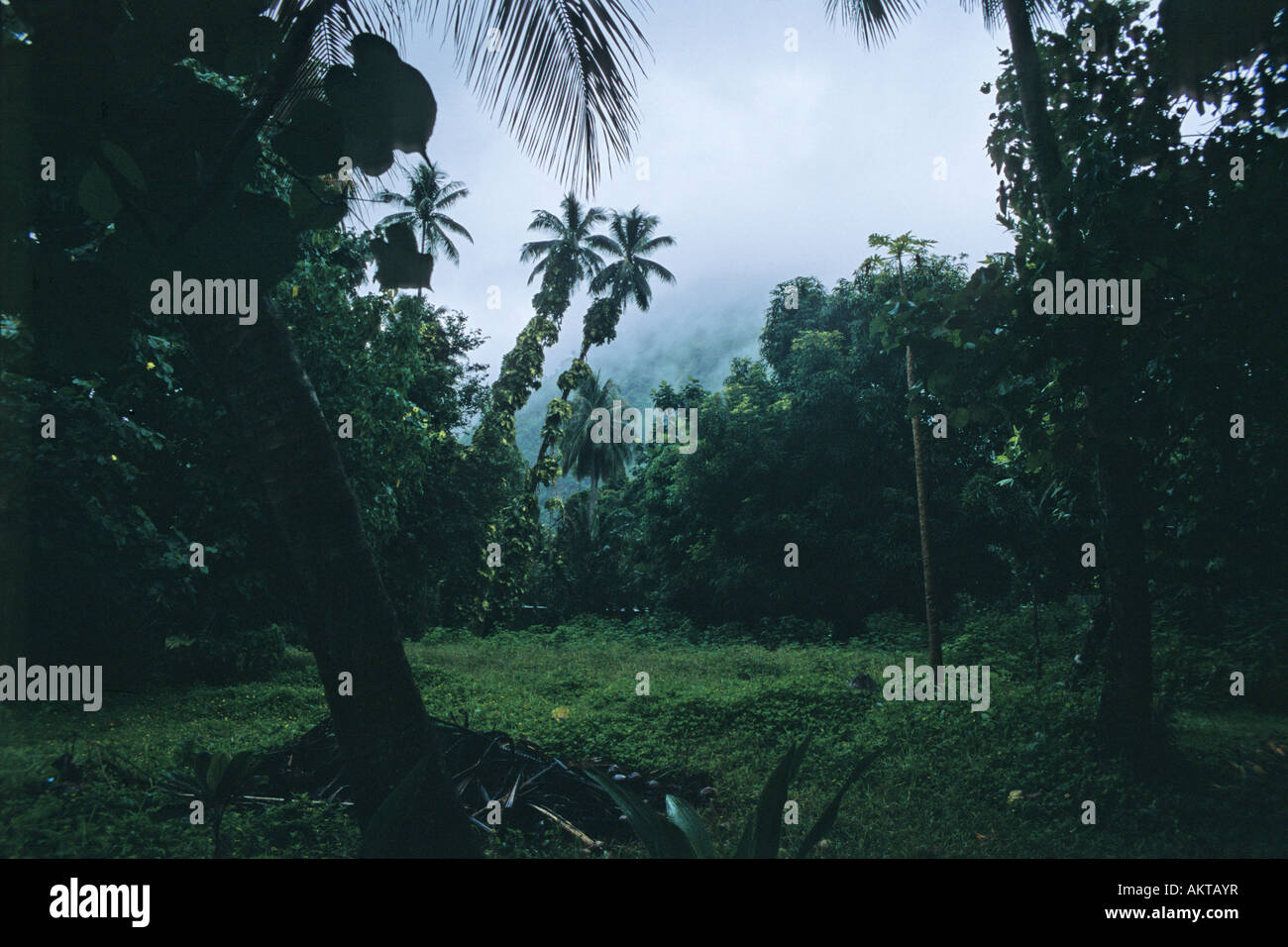 Sunrise in Tahiti, French Polynesia Stock Photo - Alamy
