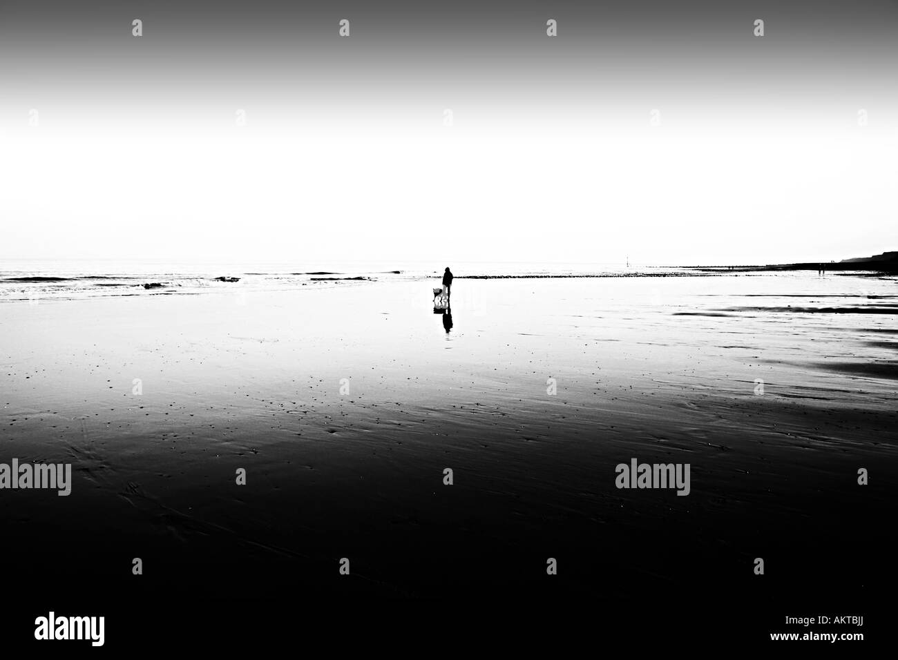 Dog walker silhouette Black and White Stock Photos & Images - Alamy