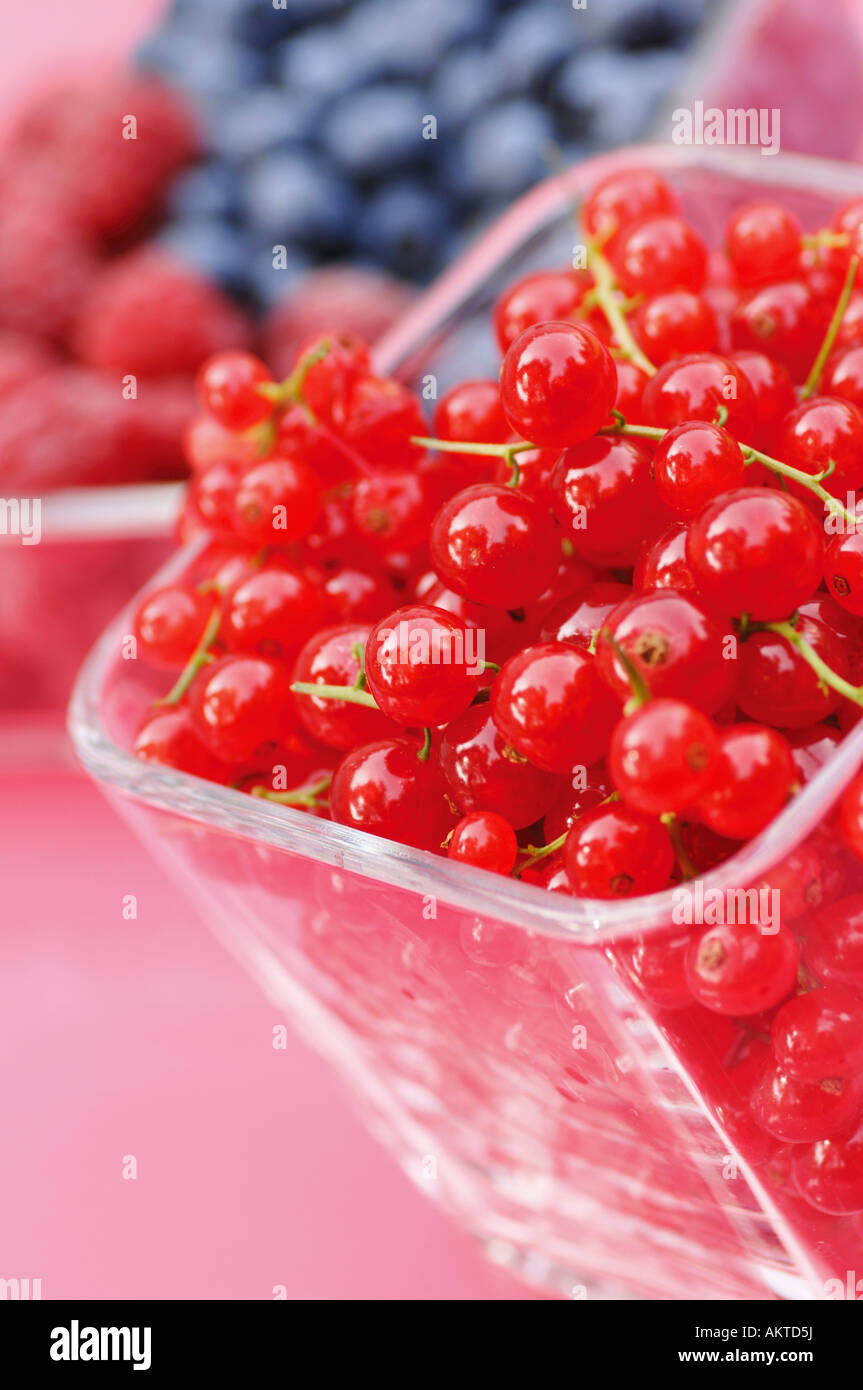 Red currents, blue berries and rasberries in background Stock Photo - Alamy